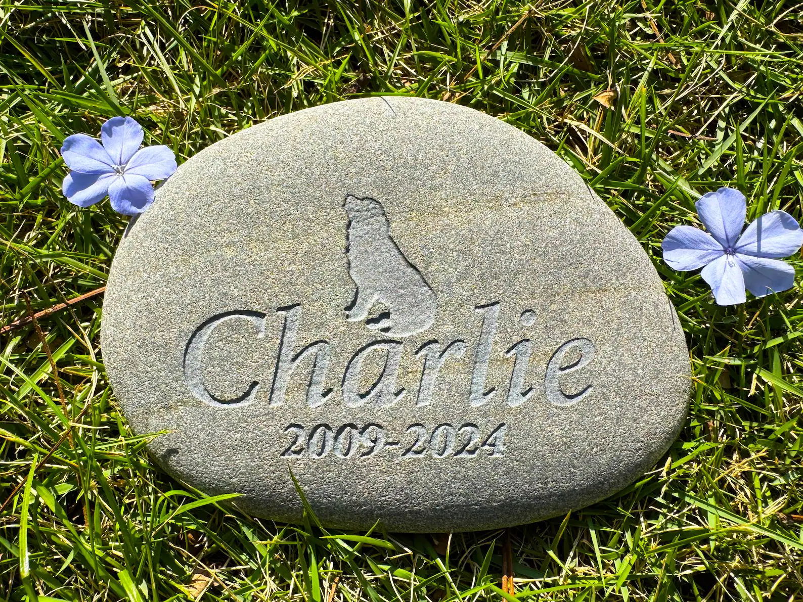 Pet Memorial - Bia mộ thú cưng